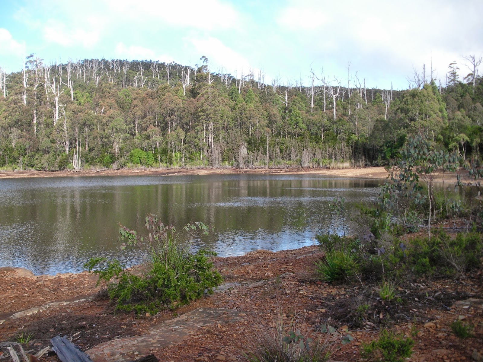 Grey Mountain | Hiking South East Tasmania