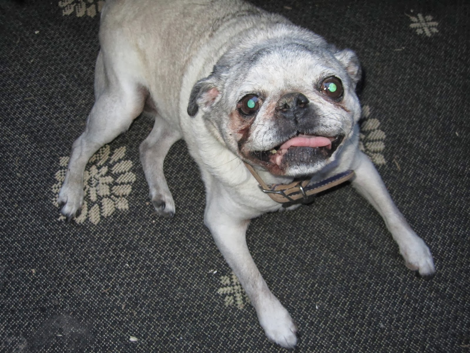 Nesting Notions: goodbye, funny pug