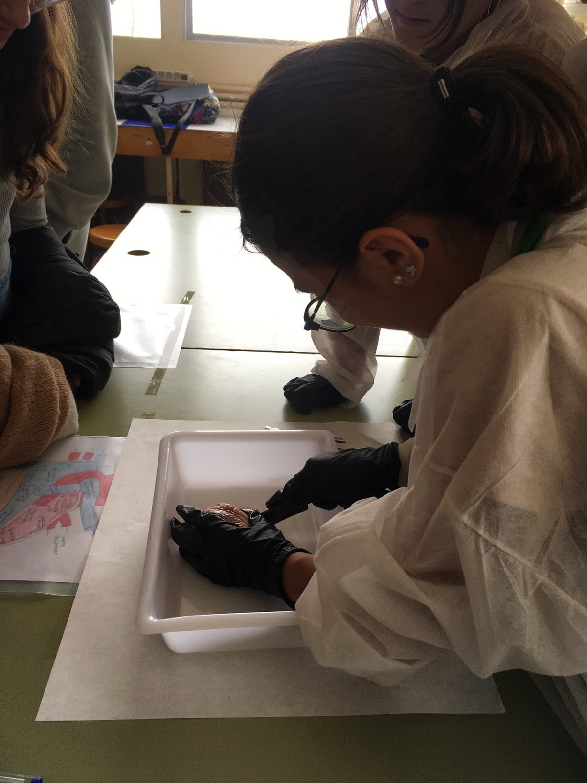 Semana Cultural del IES José Cadalso