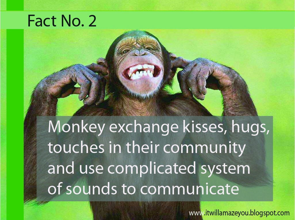 AMAZING FACTS ABOUT ANIMALS | TOP 30 RANDOM FACTS ABOUT ANIMAL | FUN ...