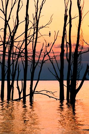 Un alma navegante: La soledad bien entendida