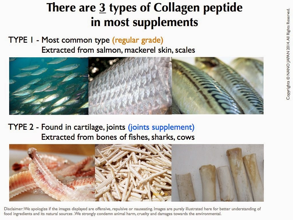 Cara Membuat Kolagen Dari Sisik Ikan