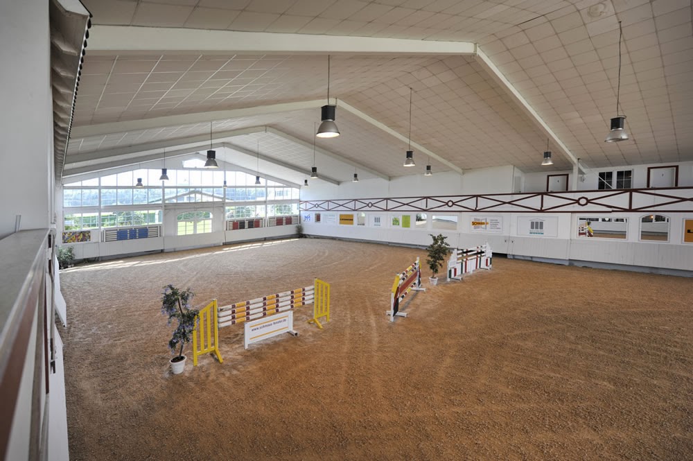 David et Goliath: Dream Stables #1