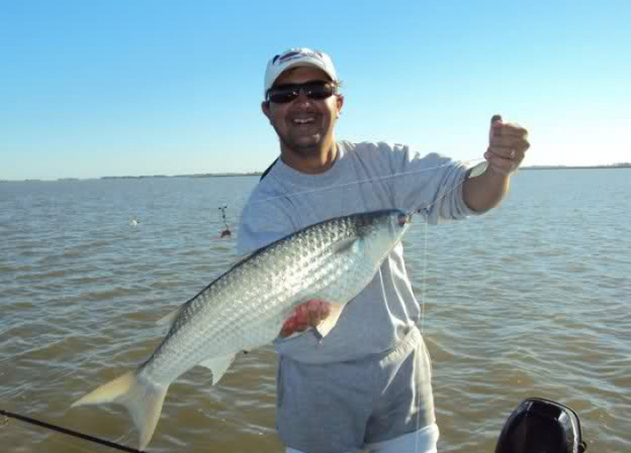 Con Que Se Pesca La Lisa - Pesca Información