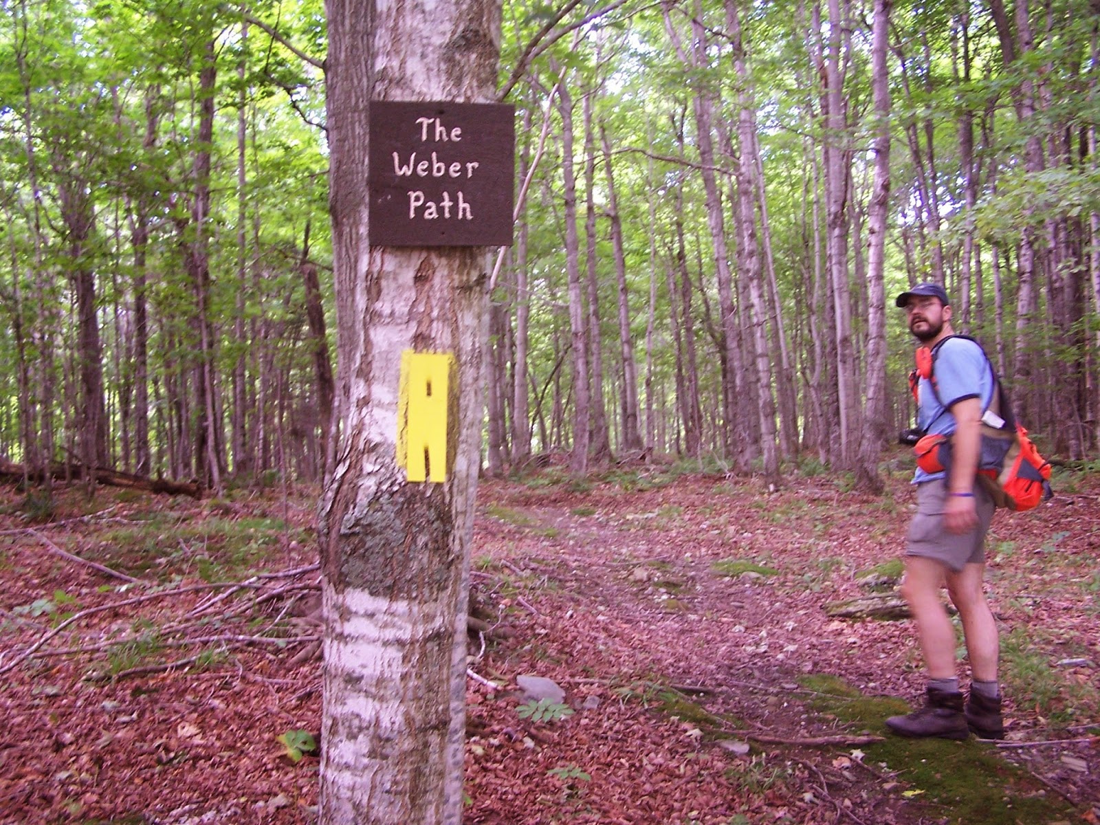 Trekking For A Cure. Giving MS The Boot!!: Deer-Prospect-Carr Ridge ...