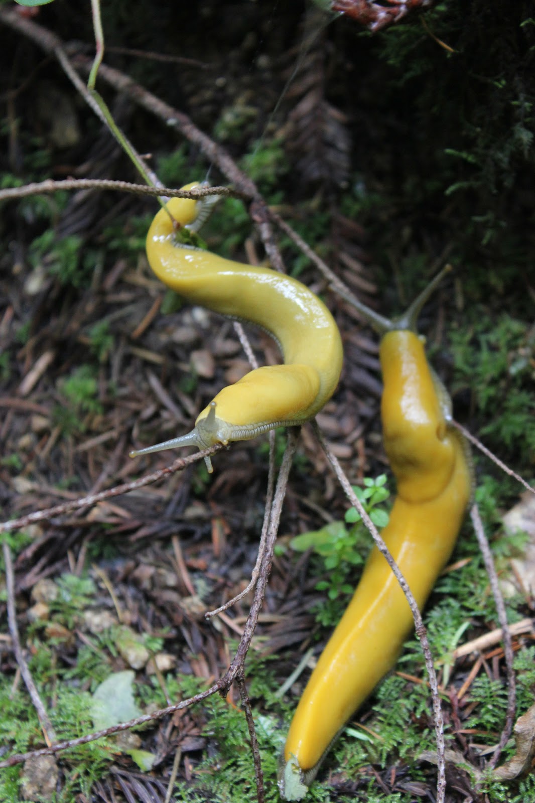 In Blue-Green SUN's shadow: Welcome to the hotel california such a ...