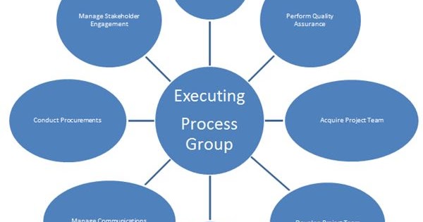 Project for Success: EXECUTING STAGE