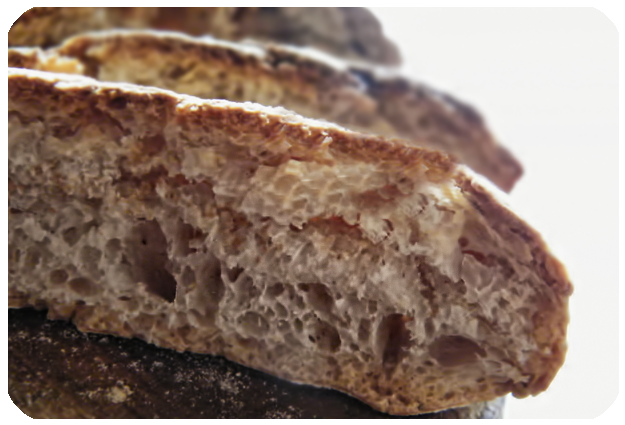 Chapata Semi-Integral (Ciabatta) | RÚSTICA