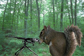 Zoo Animals: Funny Squirrels With Guns