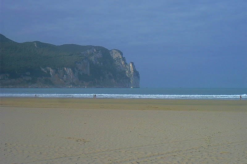 playas y paseos por la costa: 1/9/11 - 1/10/11