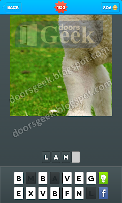 Zoomed In - Photo Word Game Level 102 ~ Doors Geek