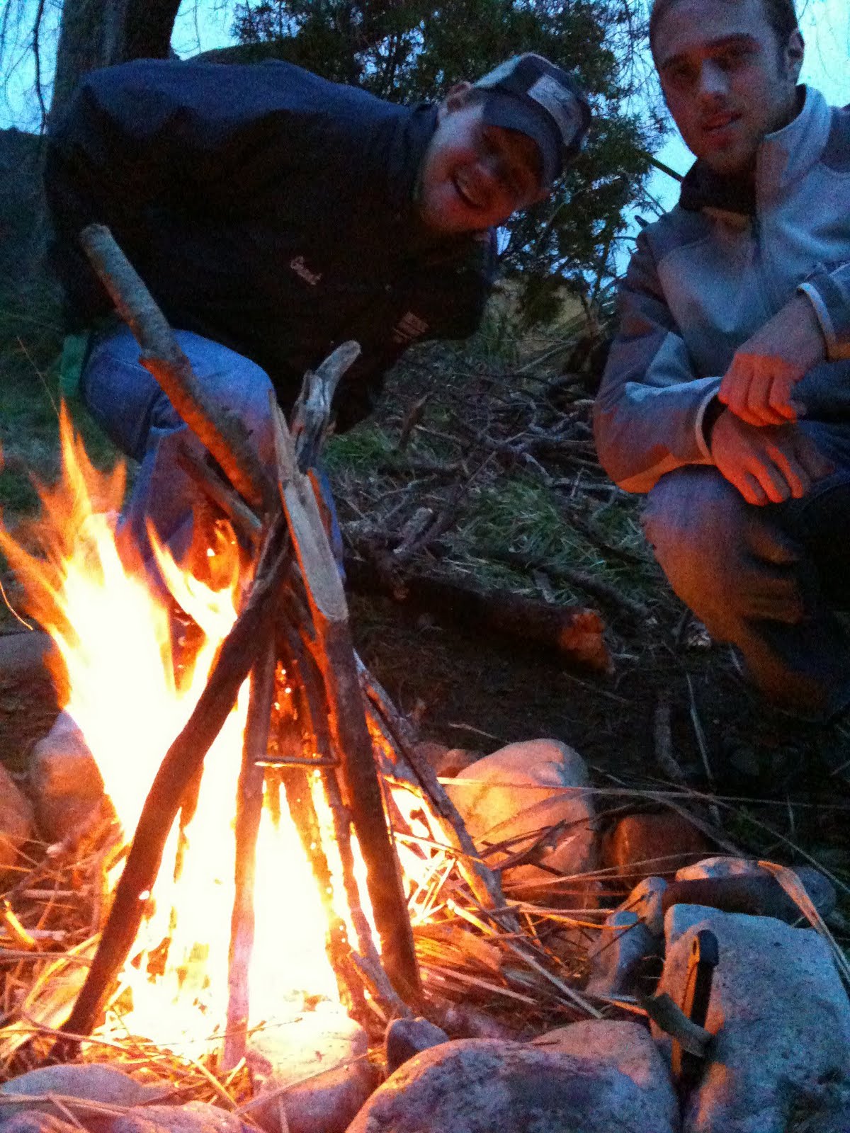 Bros in New Zealand: Kaitoke Regional Park (Rivendell)
