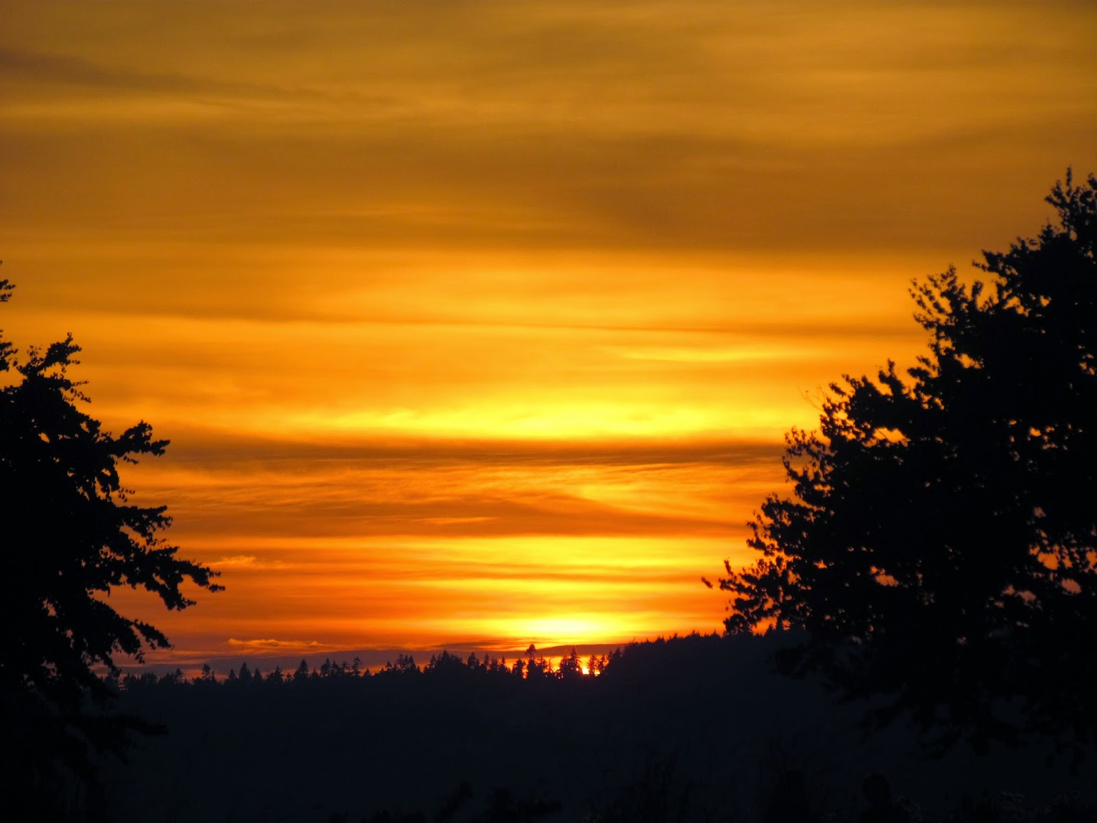 Scene Through My Eyes: Zoom In - Zoom Out - Sunset and Moonrise