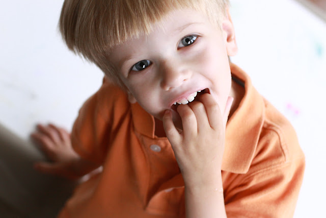 Andrea Finnegan Photography