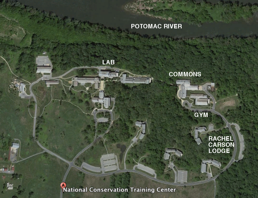 Songbirds & Parasites : The Third Annual International Workshop on ...