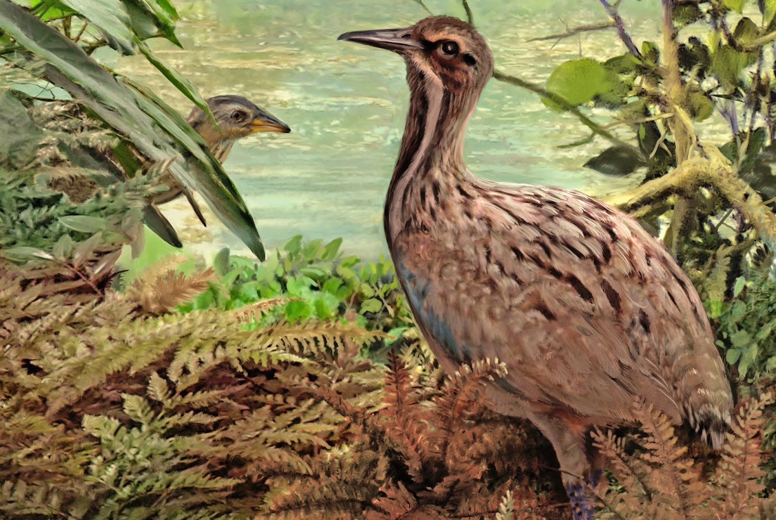 Species New to Science: [PaleoOrnithology • 2016] Calciavis grandei ...