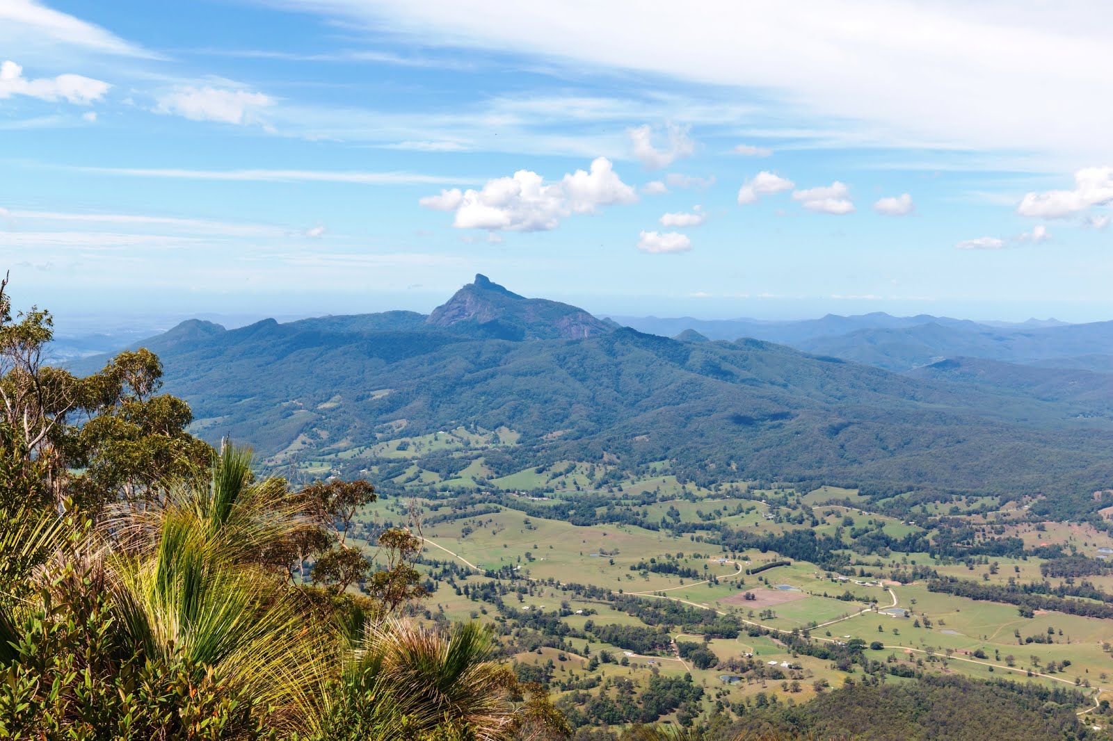 National Park Odyssey: Tweed Range Scenic Drive, Wildlife and Walks in ...