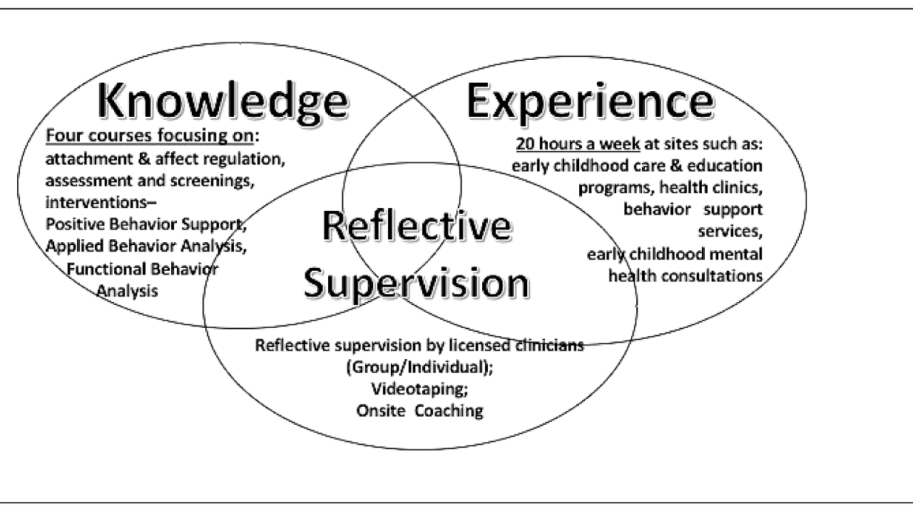 Supervision In Early Childhood Education - Education Choices
