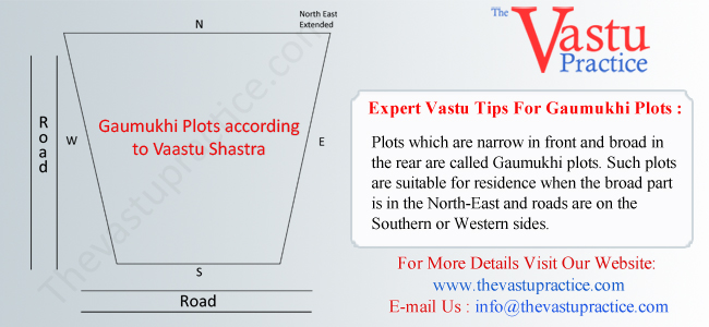 Renowned Vastu Consultant in Delhi offers Vastu consultancy services ...
