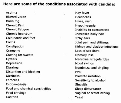 Everything Plexus: All About Candida Yeast