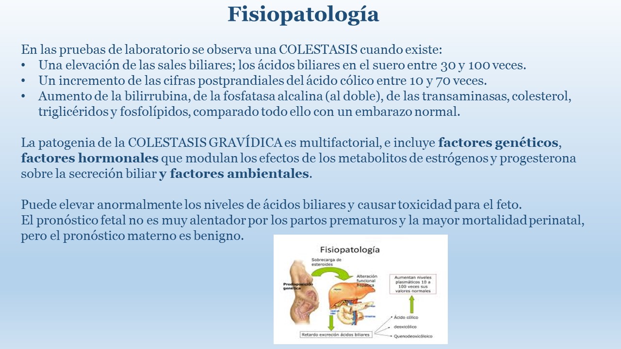 Fisiopatologías en el estado gestacional-neonatal del sistema digestivo ...
