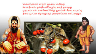 தலைமுடி வளர அகத்திய சித்தர் கூறிய பாடல் விளக்கம் | முடி வளர சித்தர்கள் ...