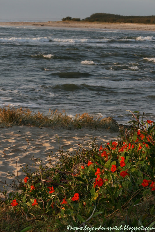 Early Morning Sunrise - Caloundra, Sept 28th 2011