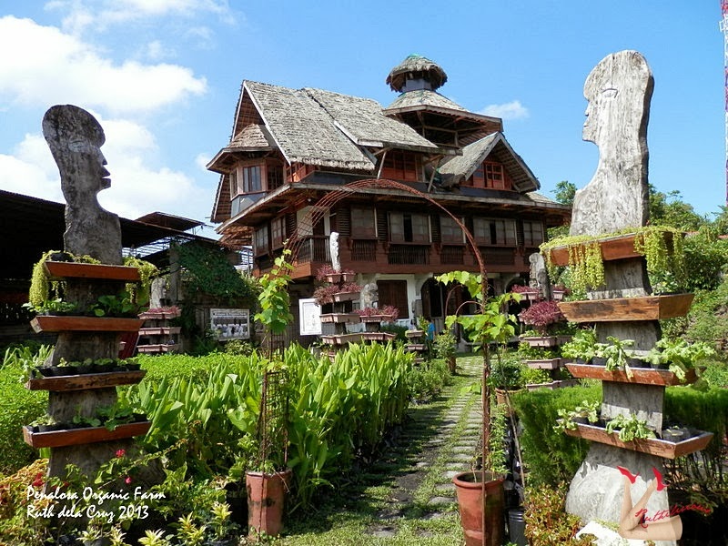 ruthdelacruz | Travel and Lifestyle Blog : A Visit to Penalosa Organic Farm