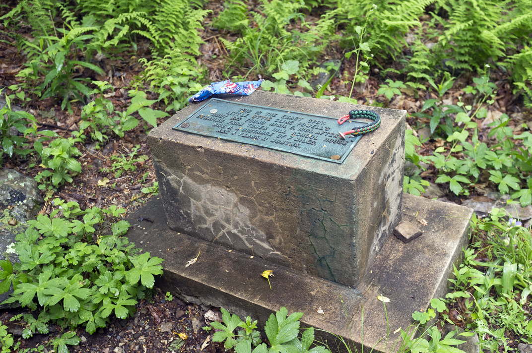 The Laughing Dog: Virginia Is Not Flat!