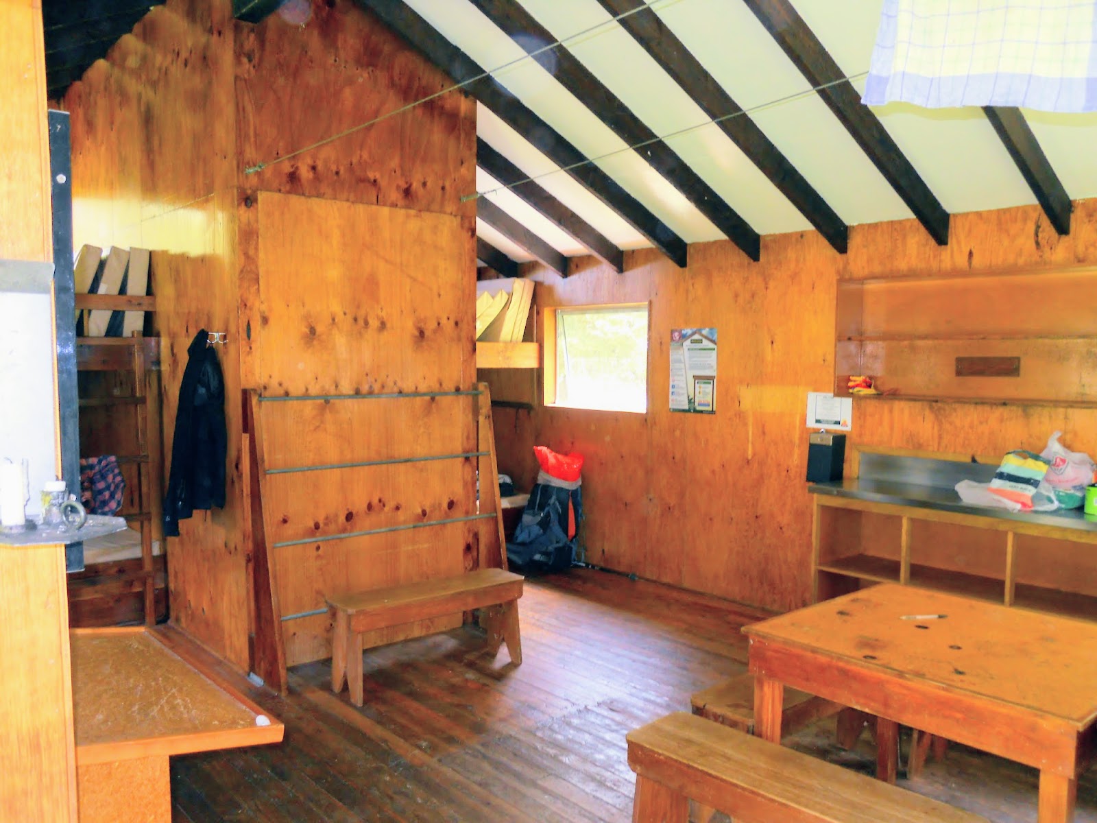 Tramping in the New Zealand backcountry: NZ Bush Adventures: Whats in a ...