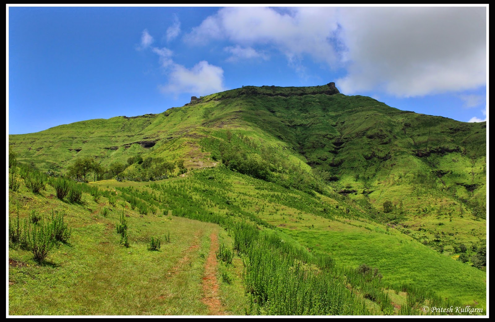 Travel India: तोरणा किल्ला (Torana Fort)