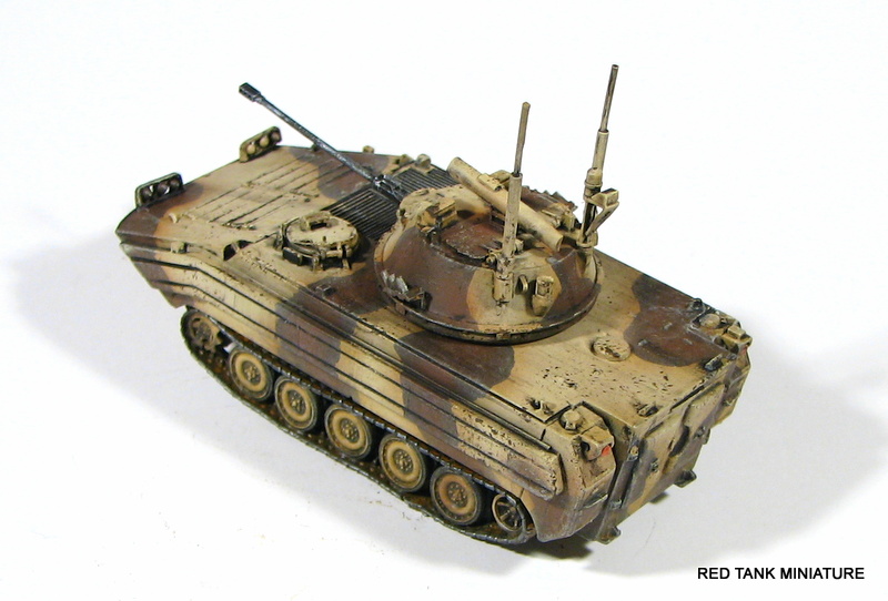 Gulumik Military Models: Opfor BMP-2/M113 1/72