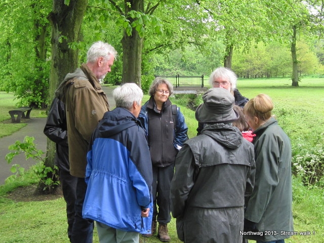 Wyre Forest Stream-walking Project
