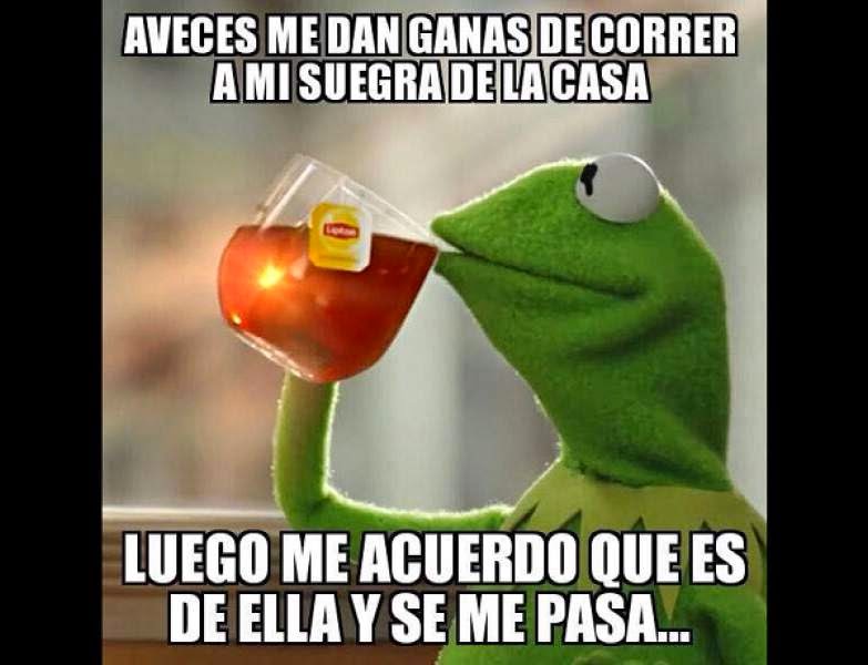 El origen de los memes de la Rana René | El HIT GUATE RADIO