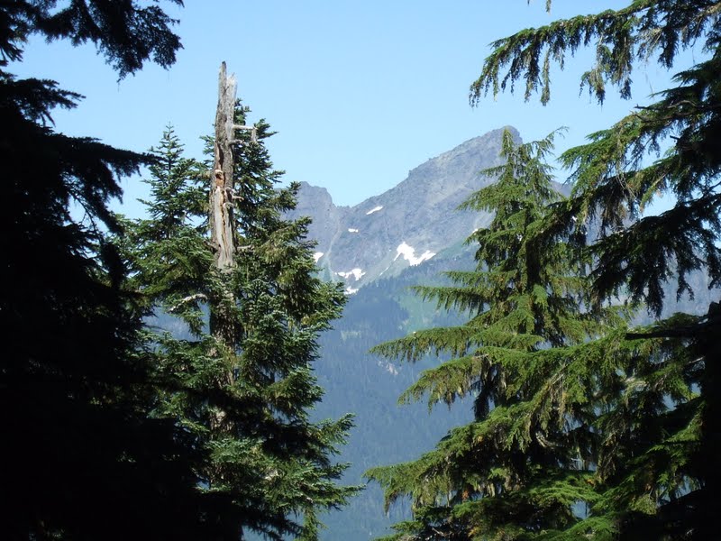 A Homeschool Mom's Hiking Blog: Peek-a-boo Lake ~ August 27th 2011