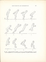 Research of Artistic Anatomy: Paul Richer “Nouvelle Anatomie artistique ...