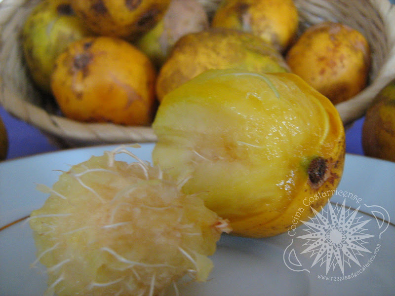 Cocina Costarricense: yuplón o jobo