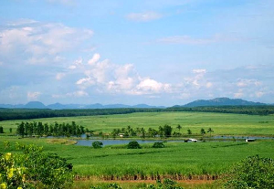 Perlis Indera Kayangan