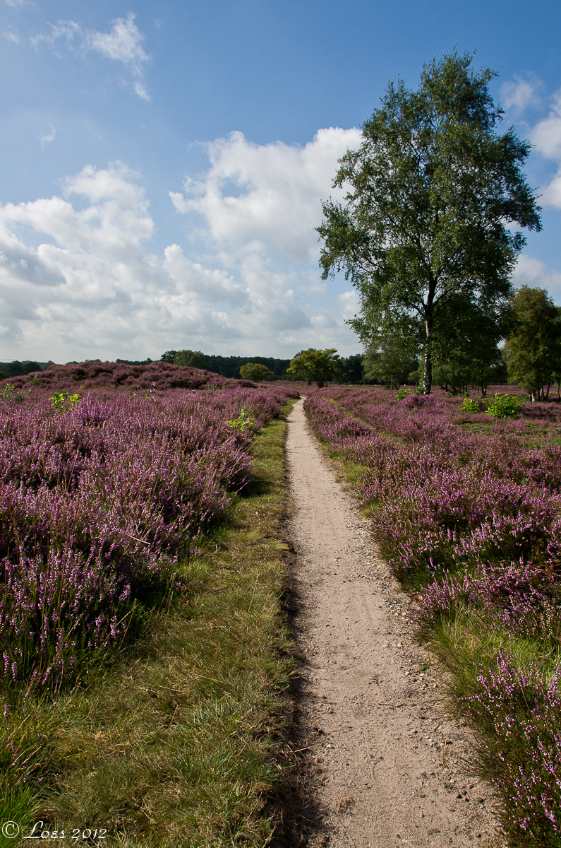 Oefening baart kunst? De uitdaging: Saai :-)