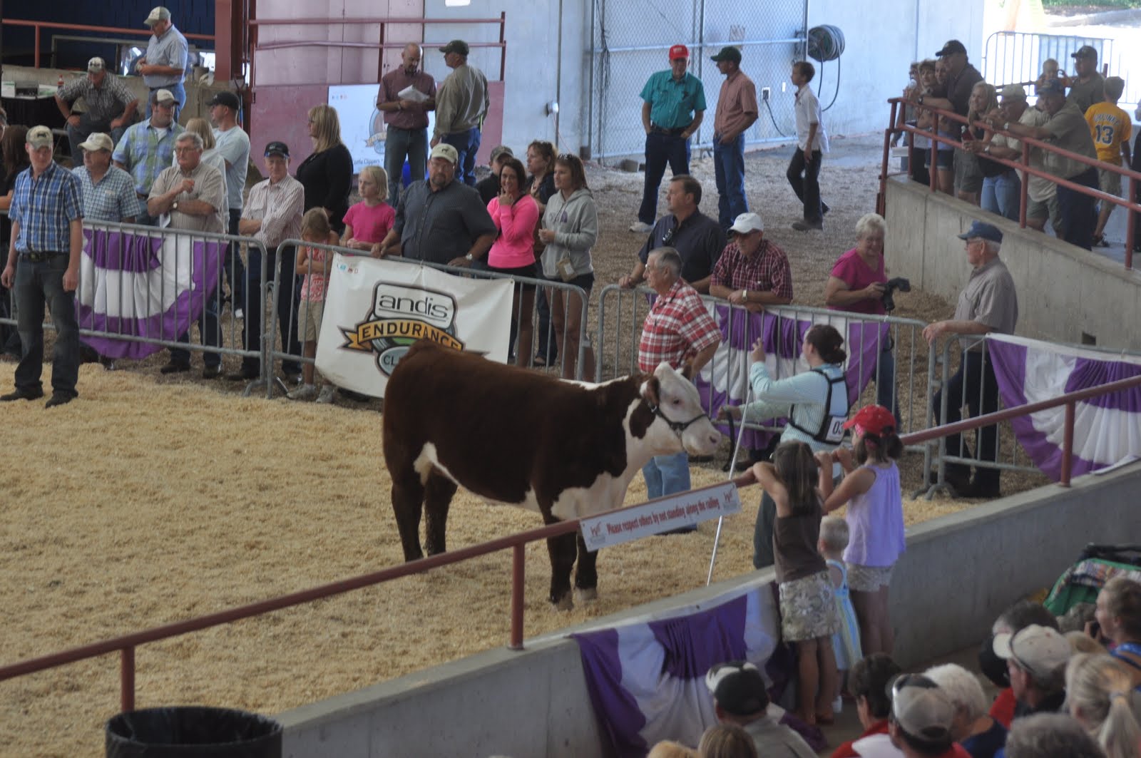 Matt Lautner Cattle TV: 2011 Wisconsin State Fair