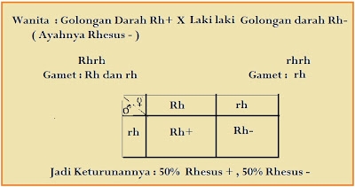 BIOLOGI GONZAGA: GOLONGAN DARAH