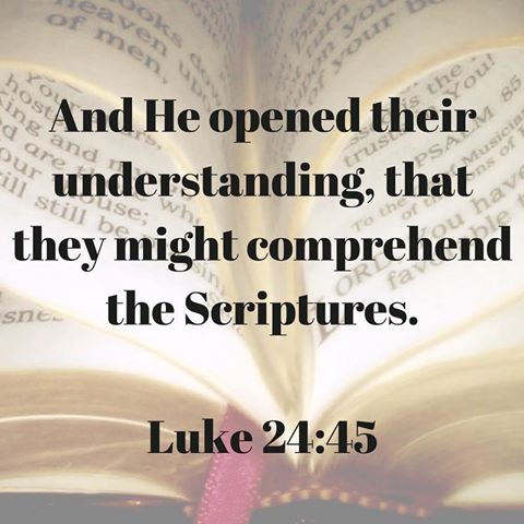 Growing Up In The Word : Divine Understanding