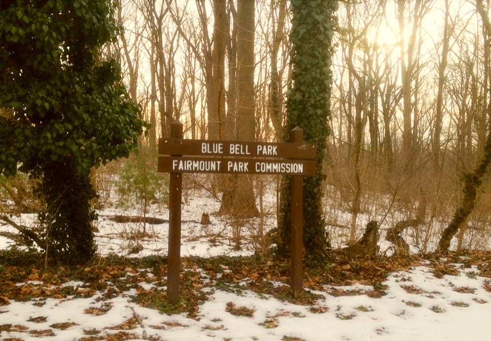 Parkadelphia: Blue Bell Park