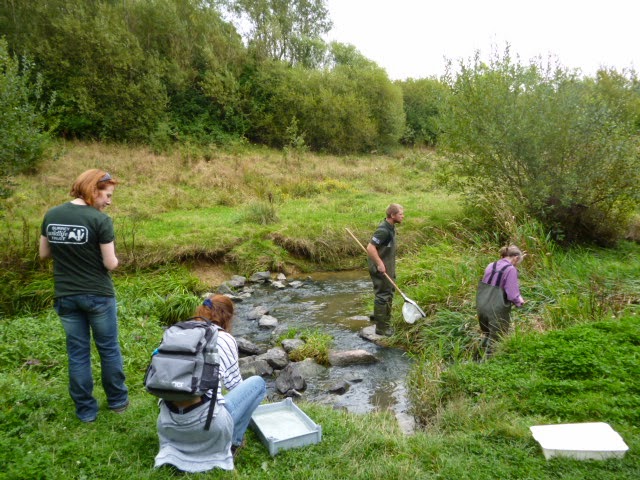 Biodiversity Gatwick: Gatwick's first Wildlife Recording Day