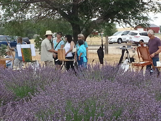 Alicia Sheehy, Author: Love Signs: Kuna Lavender Festival Sampler