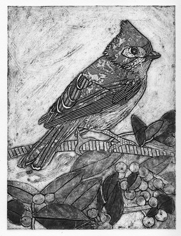 Bonnie Murray Prints: Tufted Titmouse #1 (Collagraph of Small Bird)