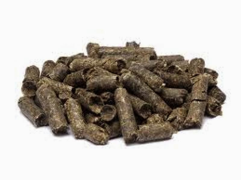 Horse Life and Love: Types of Feed