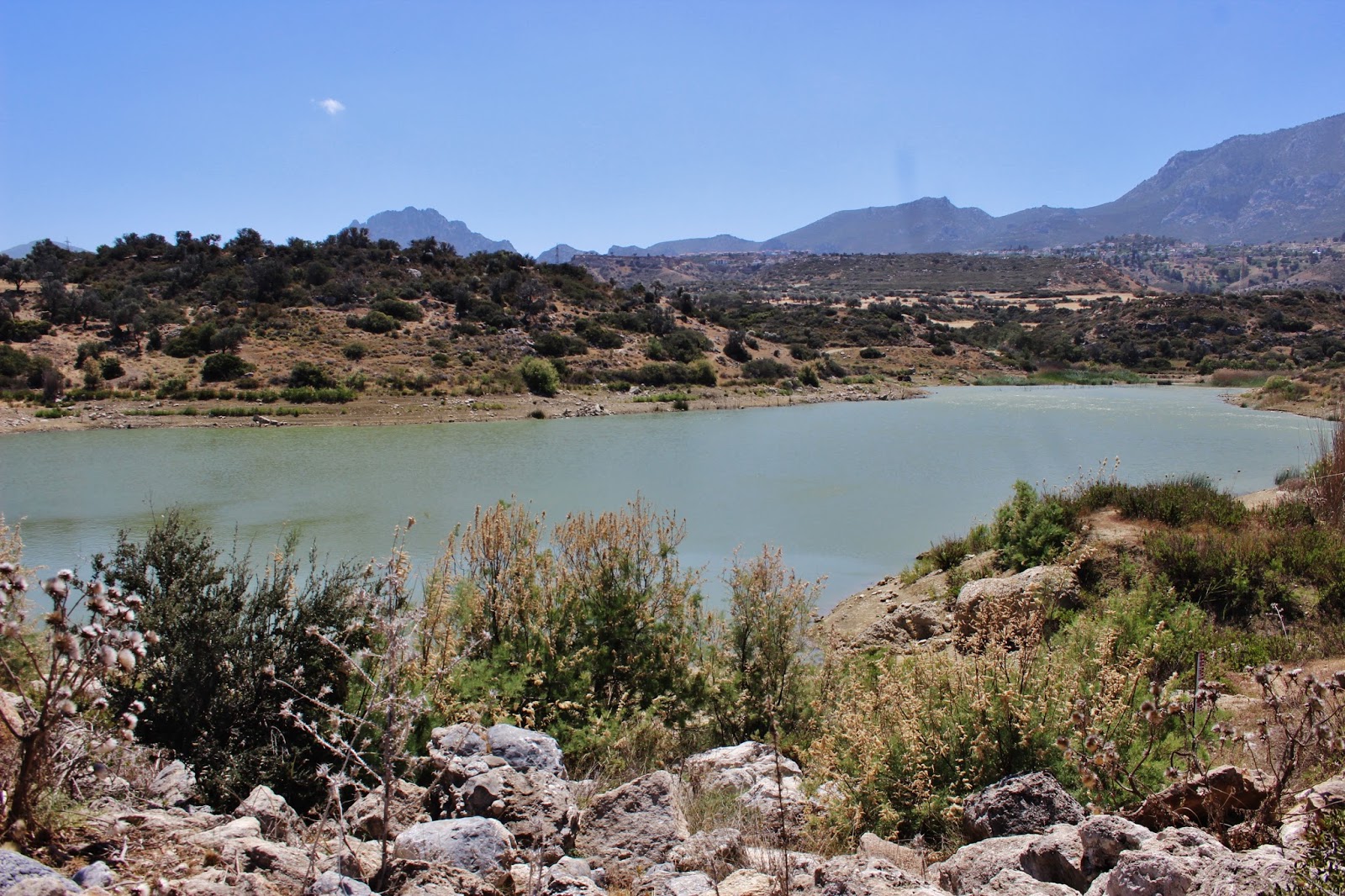 Biodiversity of Cyprus by NGO Protection of the Natural Heritage and ...