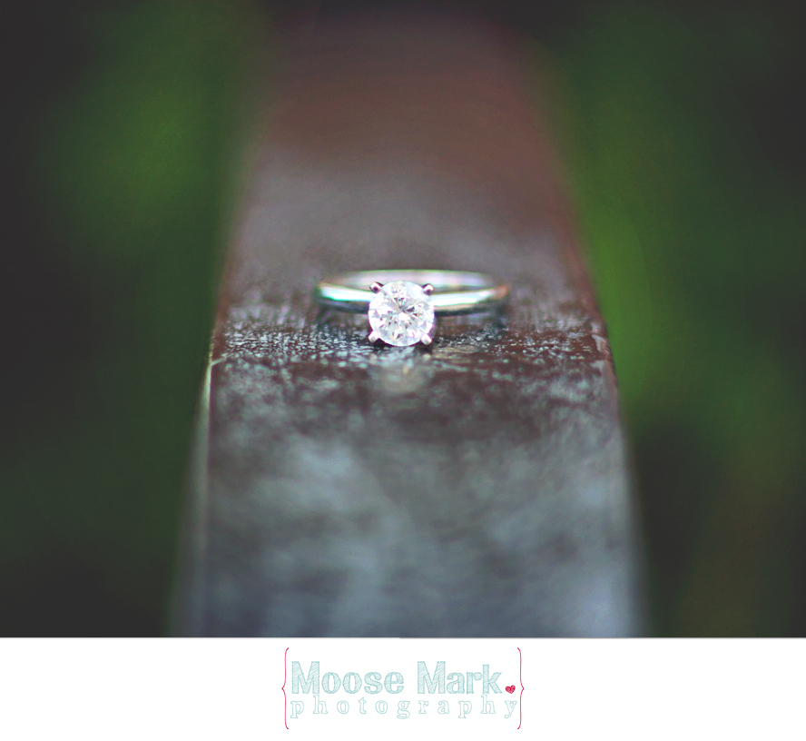 Moose Mark Photography