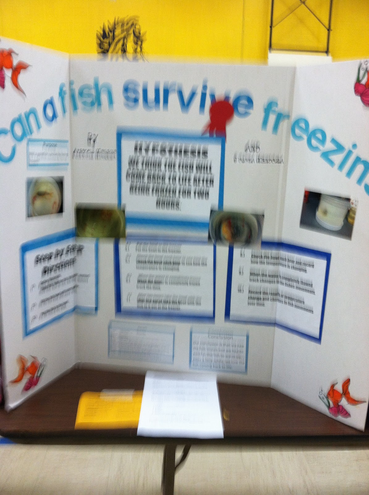 Science Fair Fun! - The Resourceful Room!